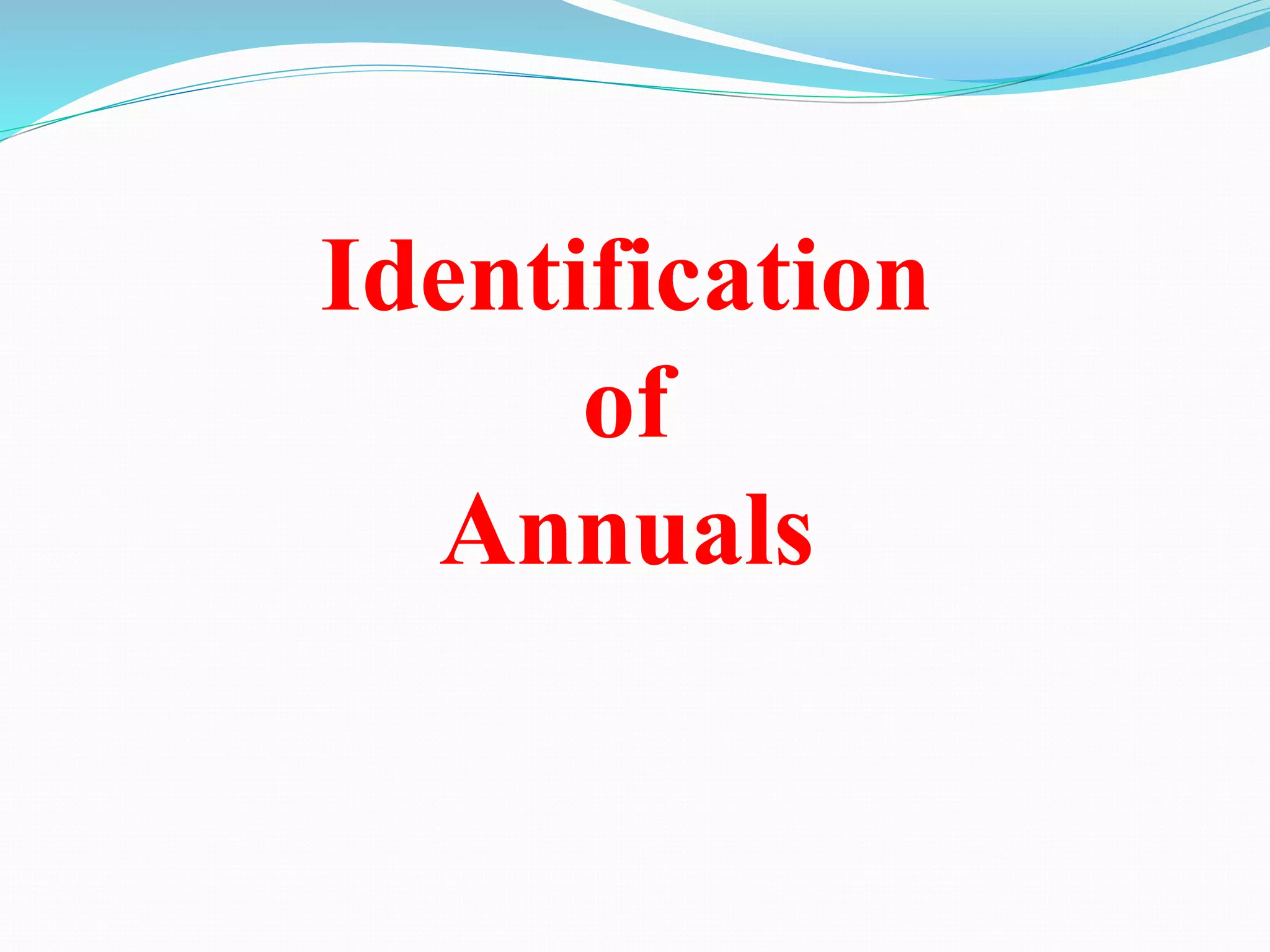Identification of annuals, annuals classification of annuals , annuals ...
