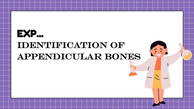 Identification of appendicular bones 01.pptx