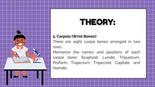 Identification of appendicular bones 01.pptx