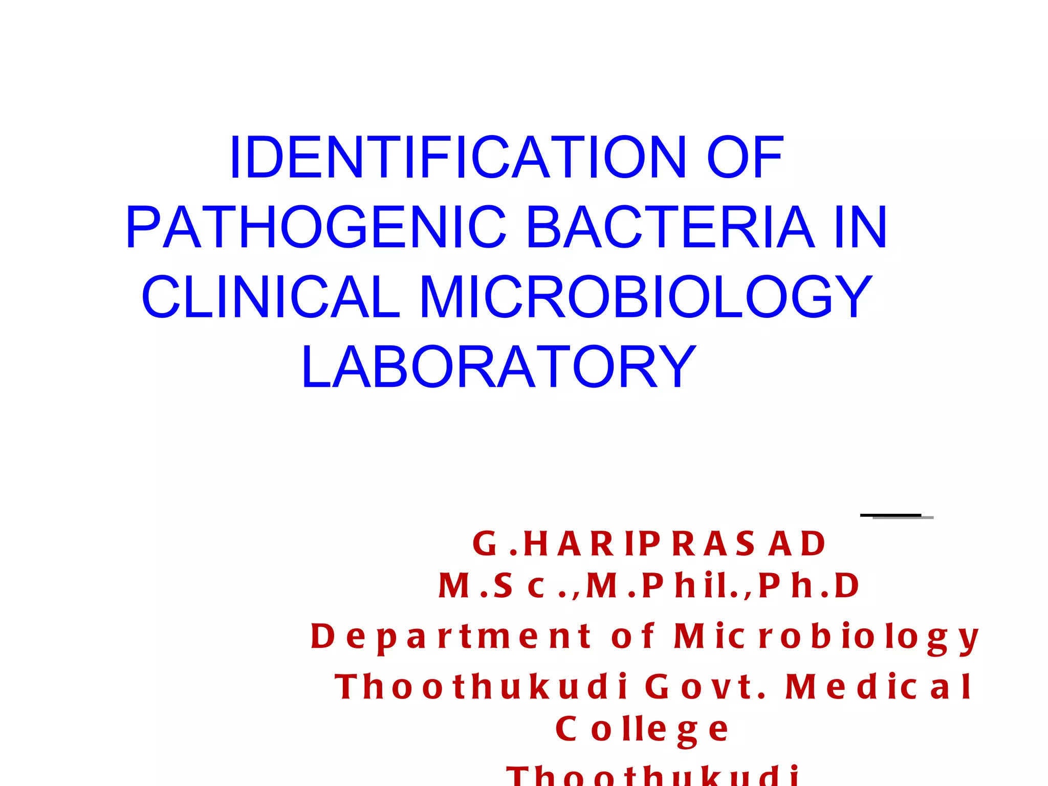 Identification of bacteria, Bacterial identification, Lab ...