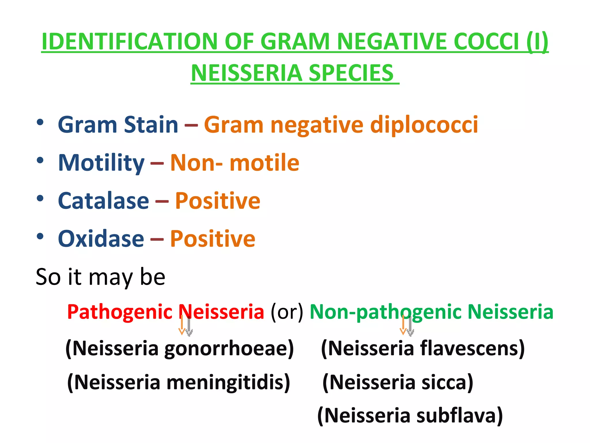 Identification of bacteria, Bacterial identification, Lab ...