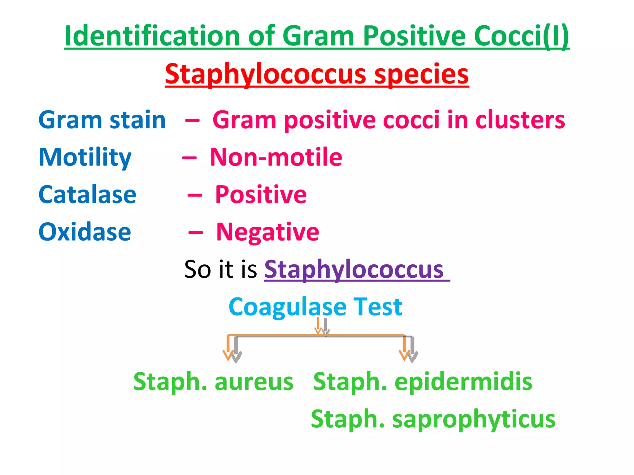 Identification of bacteria, Bacterial identification, Lab ...
