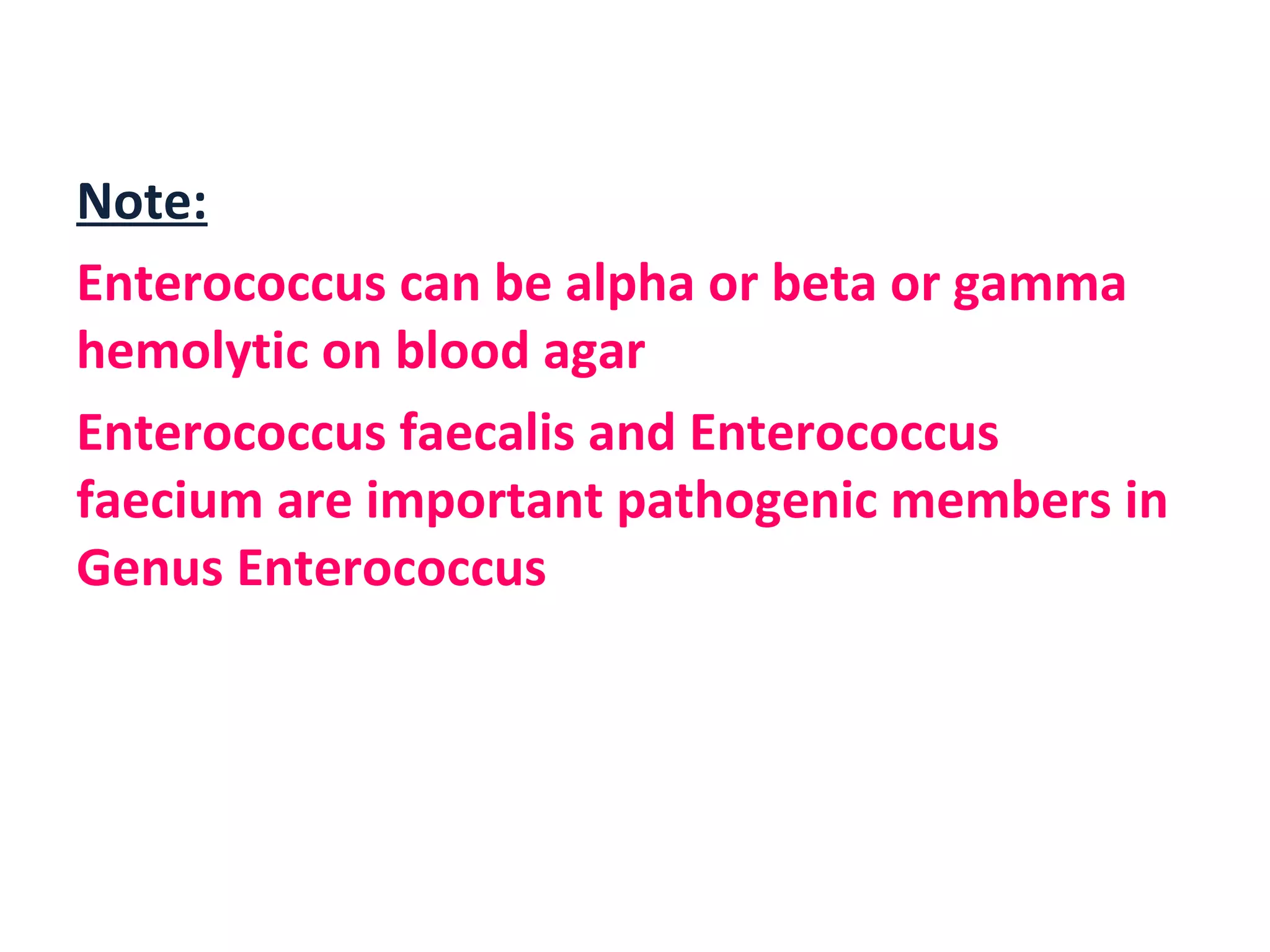 Identification of pathogenic bacteria in clinical microbiology | PPT