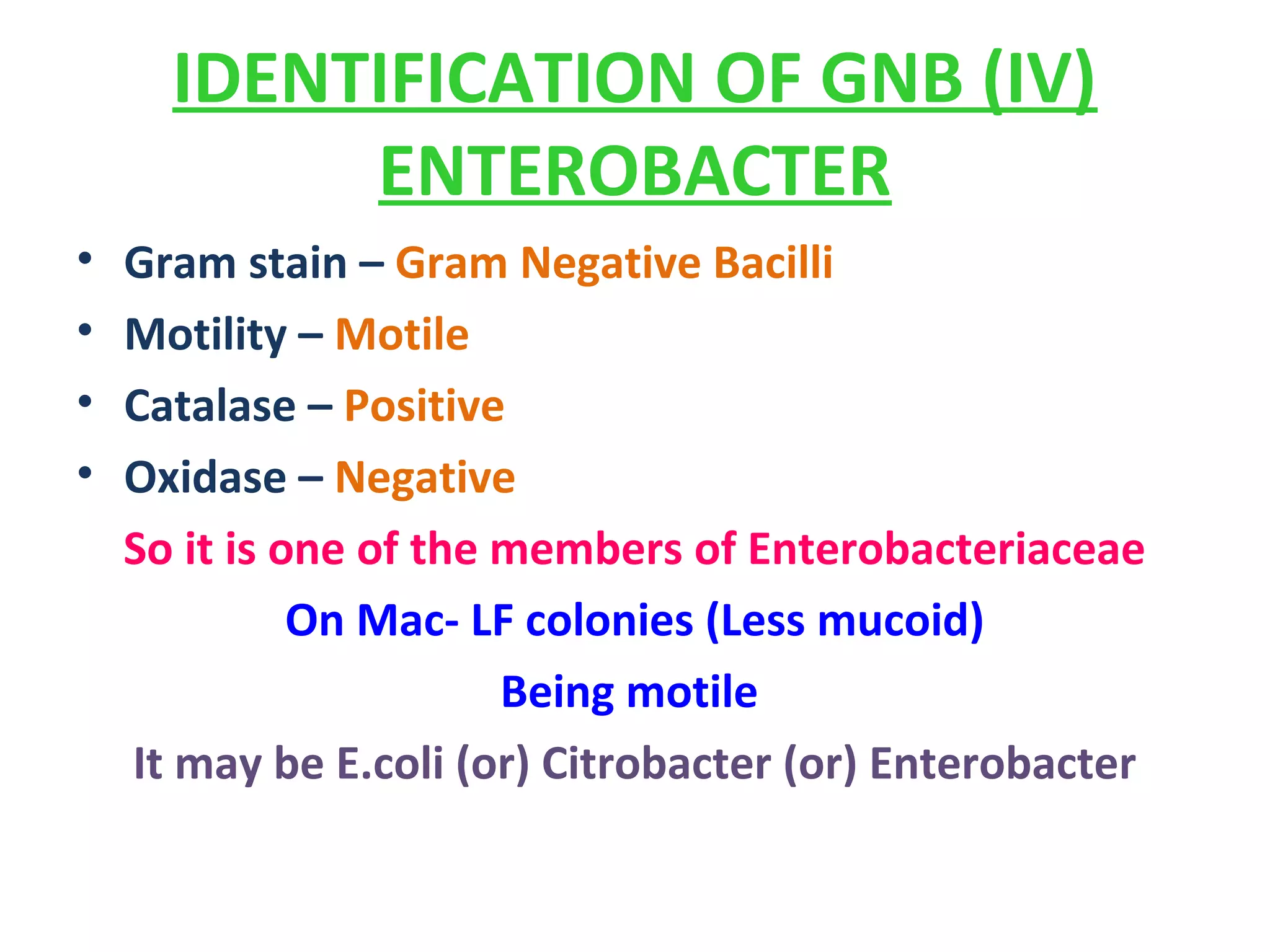 Identification of pathogenic bacteria in clinical microbiology | PPT