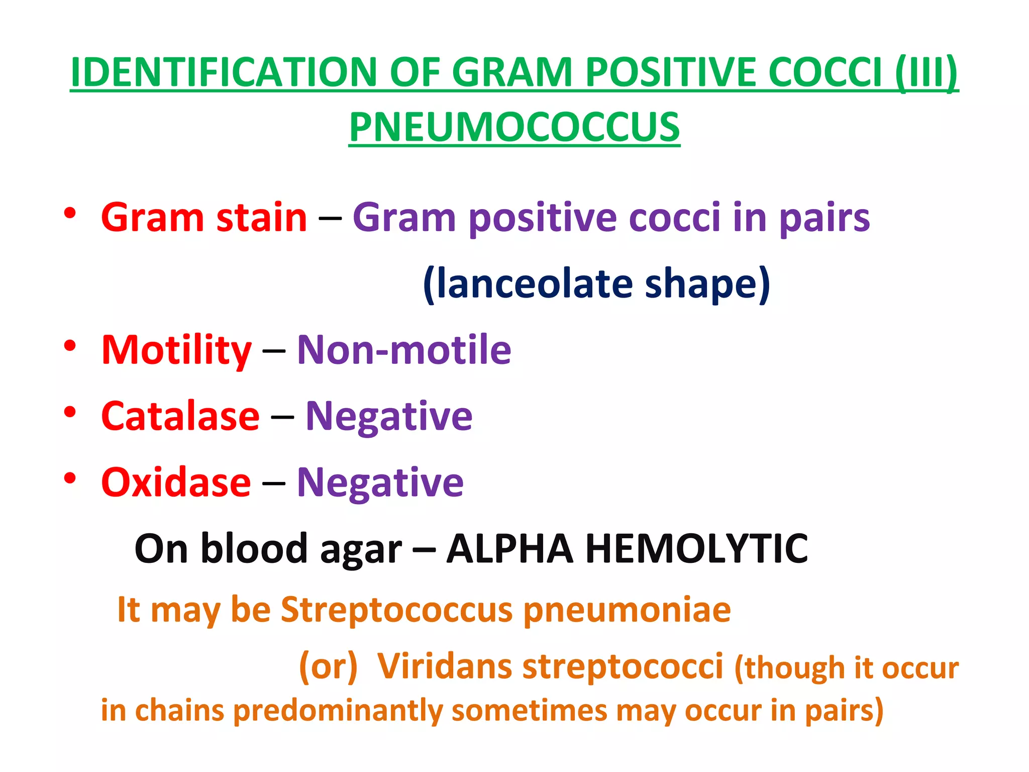 Identification of pathogenic bacteria in clinical microbiology | PPT