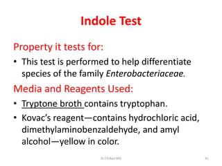 Basics in Identification of Bacteria by Dr.T.V.Rao MD | PPTX