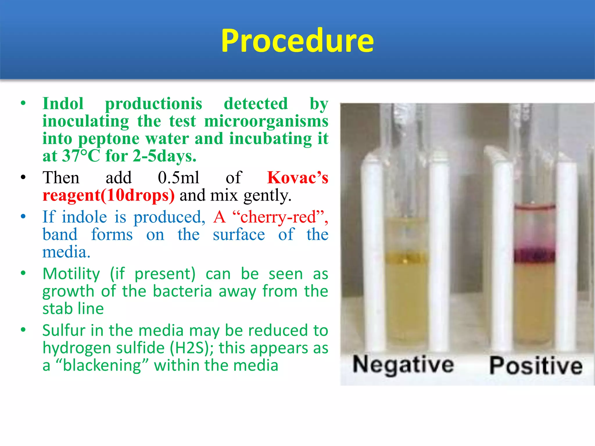Identification of bacteria | PPTX