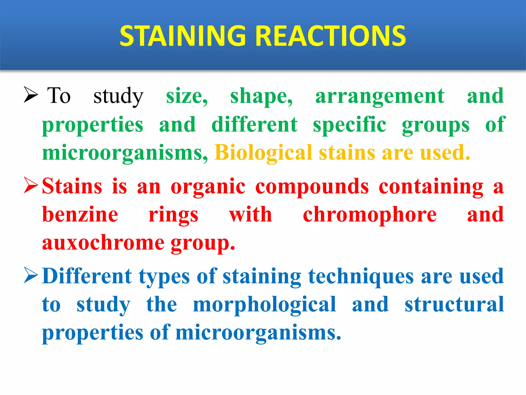 Identification of bacteria | PPTX