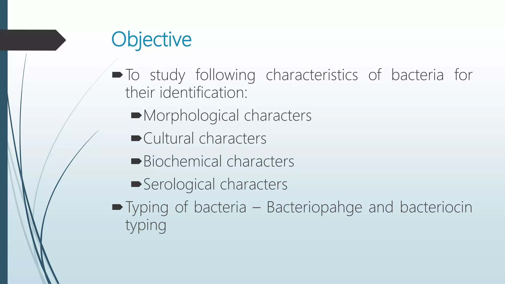 Identification of bacteria | PPTX