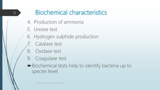 Identification of bacteria | PPTX
