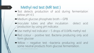 Identification of bacteria | PPTX