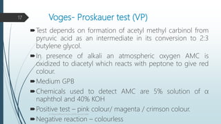 Identification of bacteria | PPTX