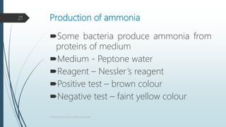 Identification of bacteria | PPTX