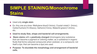 Identification of bacteria | PPTX