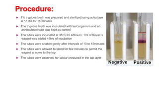 Identification of bacteria | PPTX