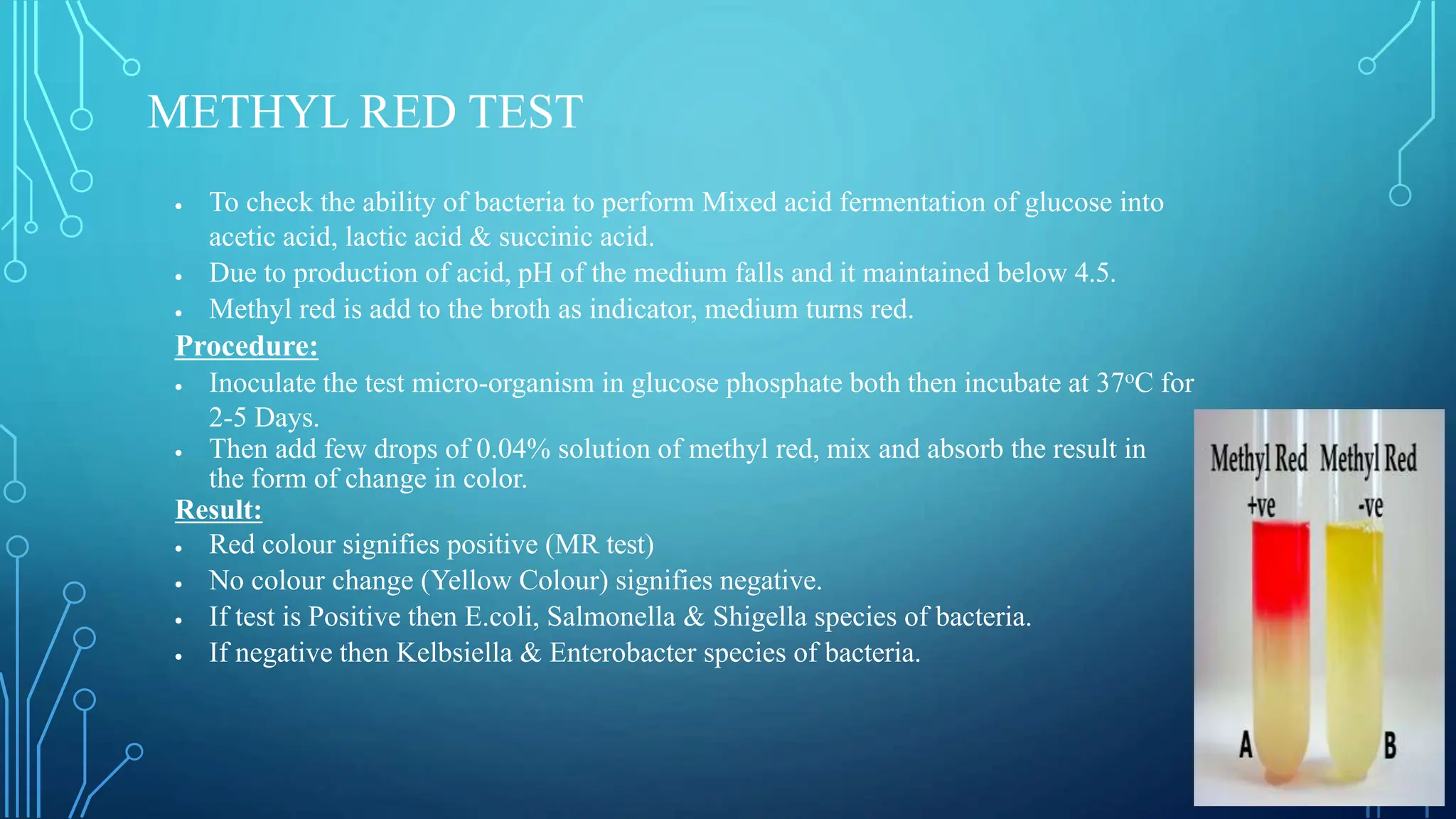 Identification of bacteria in microbiology | PPTX