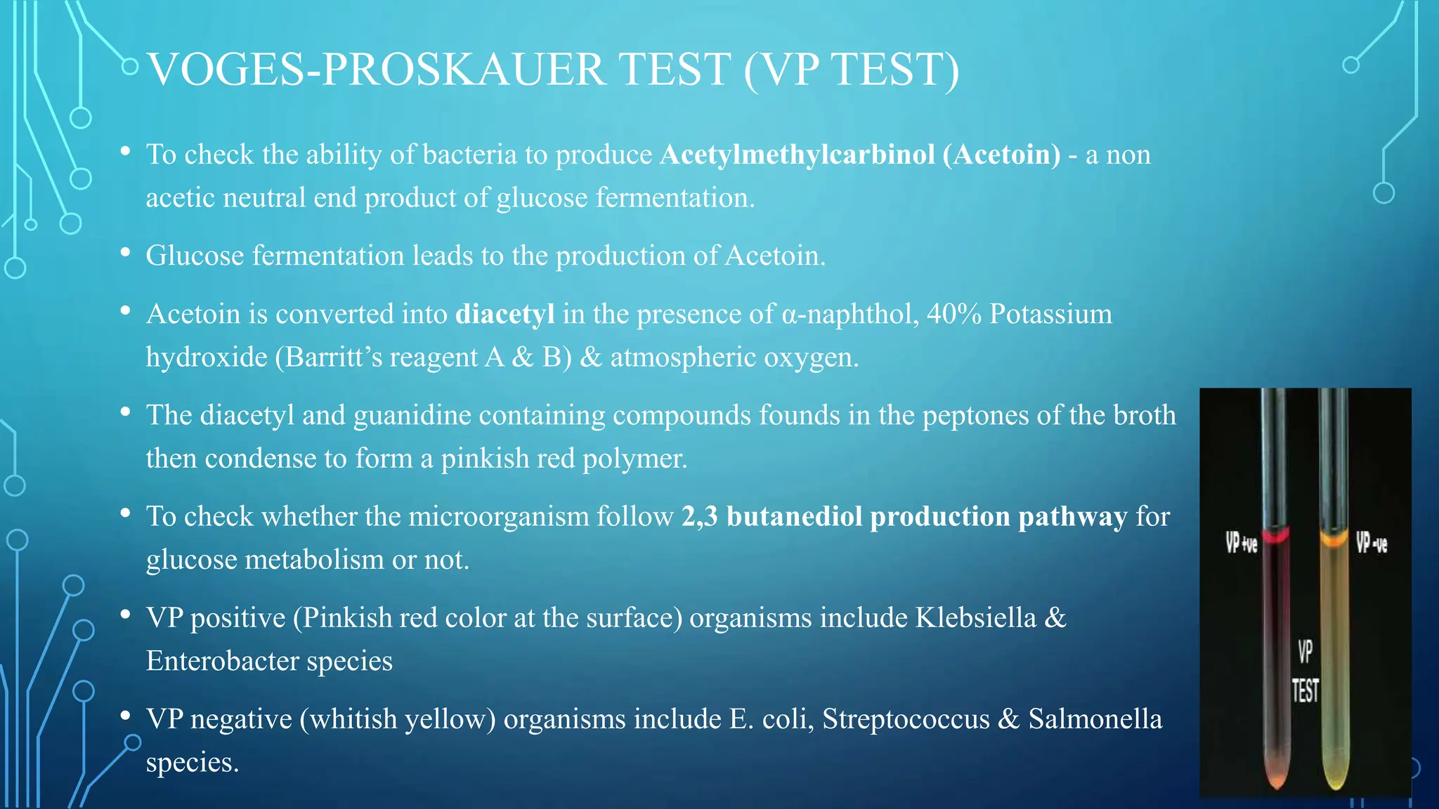 Identification of bacteria in microbiology | PPTX
