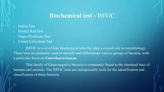 Identification of bacteria in microbiology | PPTX