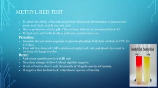Identification of bacteria in microbiology | PPTX