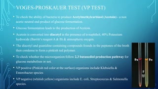 Identification of bacteria in microbiology | PPTX