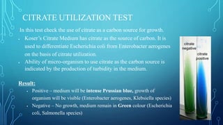 Identification of bacteria in microbiology | PPTX | Chemistry | Science