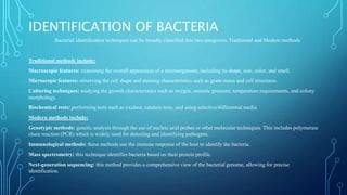 Identification of bacteria in microbiology | PPTX
