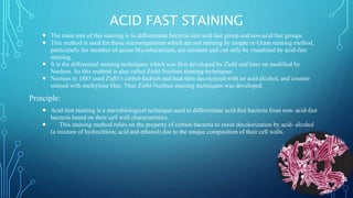 Identification of bacteria in microbiology | PPTX