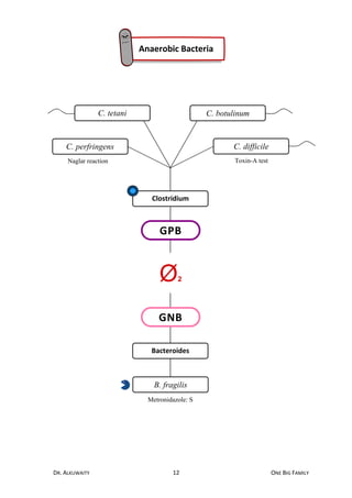 Identification of Bacteria (Gram Positive, Gram Negative) .pdf