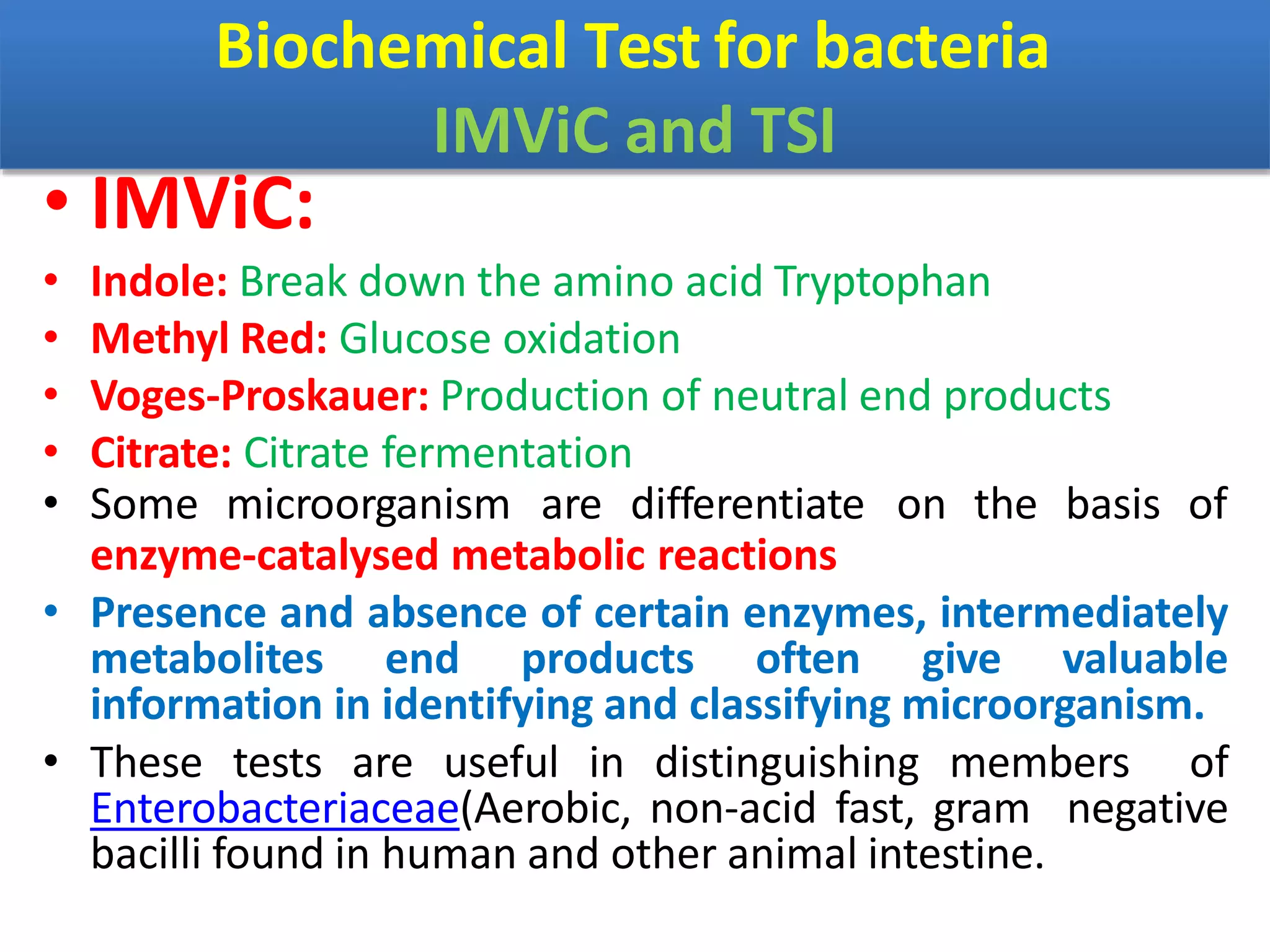 identification of bacteria- lecture 7.pptx