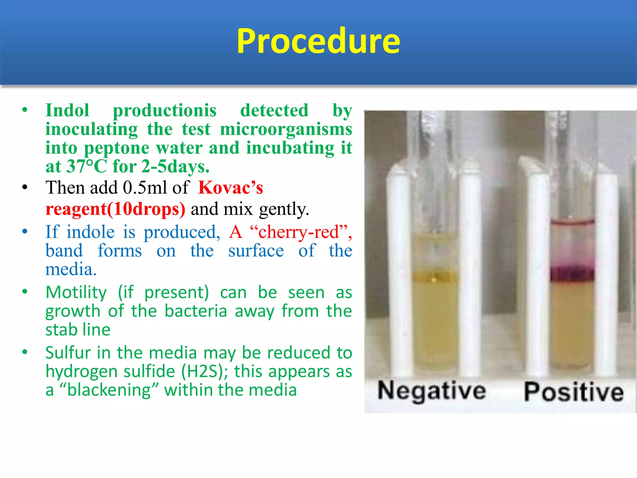 identification of bacteria- lecture 7.pptx