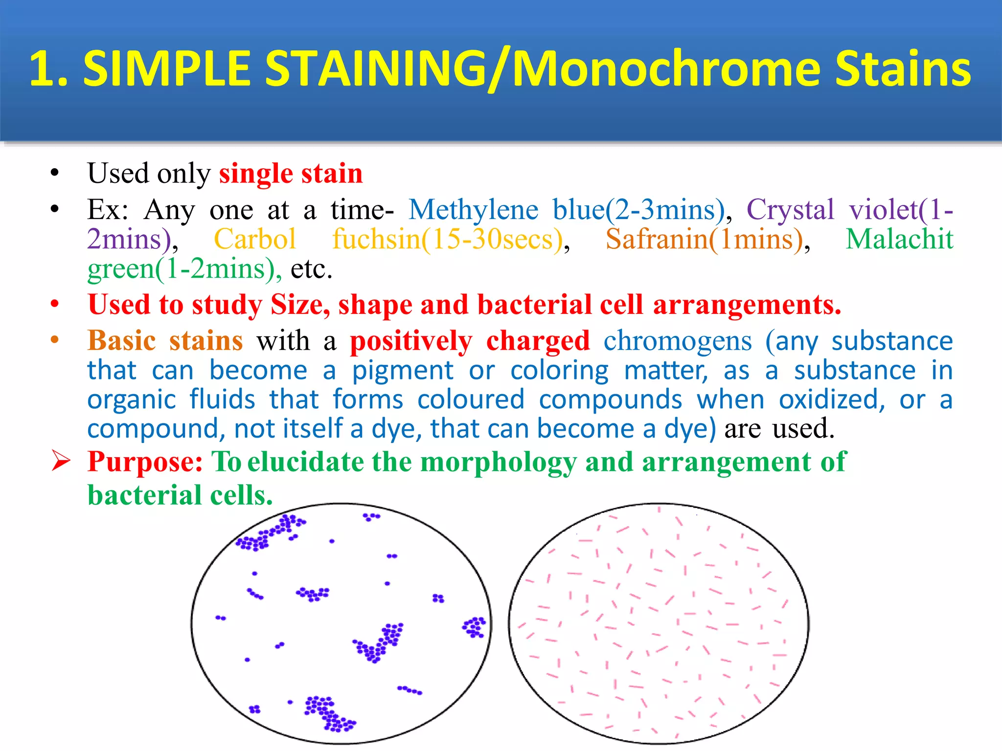 identification of bacteria- lecture 7.pptx