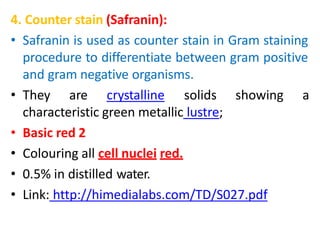 identification of bacteria- lecture 7.pptx