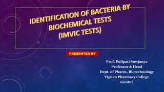 Identification of bacteria by biochemical tests | PPT
