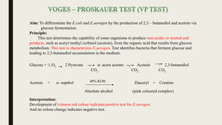 Identification of bacteria by biochemical tests | PPT