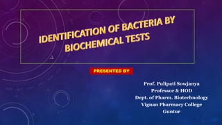 Identification of bacteria by biochemical tests | PPTX