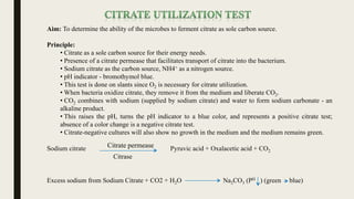 Identification of bacteria by biochemical tests | PPTX