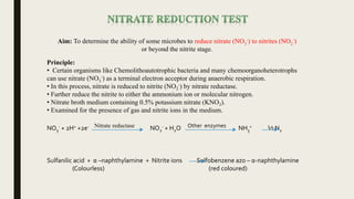 Identification of bacteria by biochemical tests | PPTX