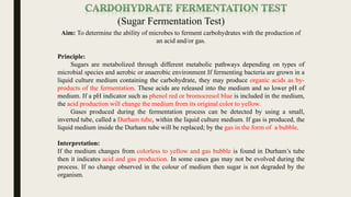 Identification of bacteria by biochemical tests | PPTX