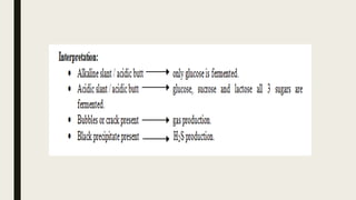 Identification of bacteria by biochemical tests | PPTX