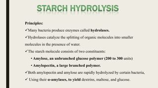 Identification of bacteria by biochemical tests | PPTX