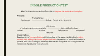 Identification of bacteria by biochemical tests | PPTX
