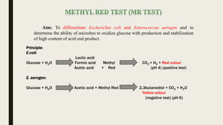 Identification of bacteria by biochemical tests | PPTX
