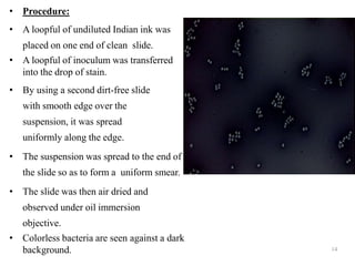 Identification of bacteria by staining methods | PPTX