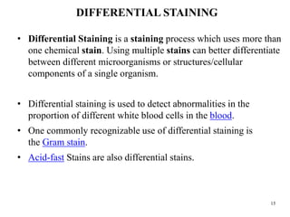Identification of bacteria by staining methods | PPTX