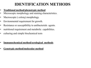 Identification of bacteria by staining methods | PPTX