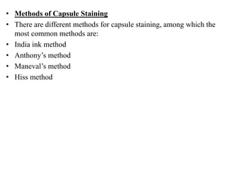 Identification of bacteria by staining methods | PPTX