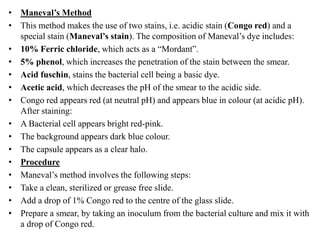 Identification of bacteria by staining methods | PPTX