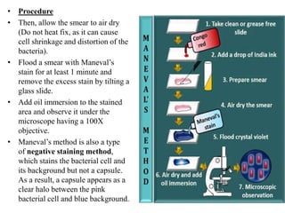 Identification of bacteria by staining methods | PPTX