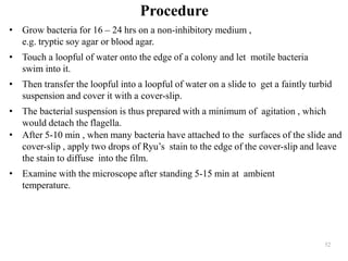 Identification of bacteria by staining methods | PPTX
