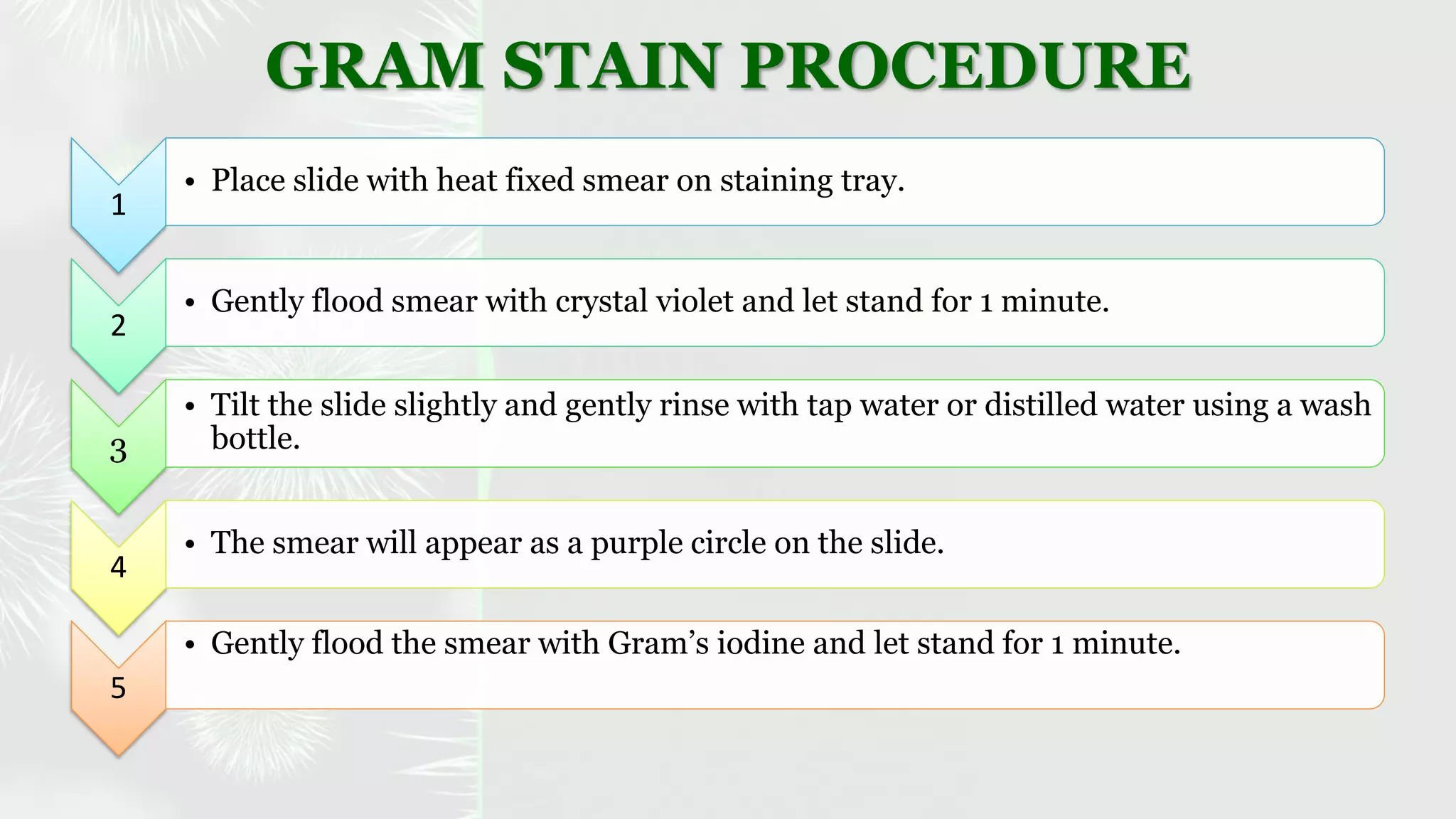 Identification of bacteria by staining techniques | PDF